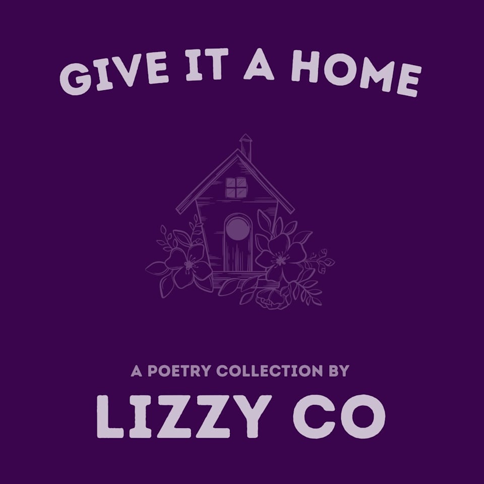 Give It A Home by Lizzy Co - Audiobook