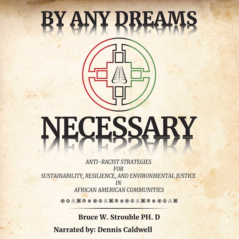 By Any Dreams Necessary by Dr. Bruce W. Strouble Jr. - Audiobook