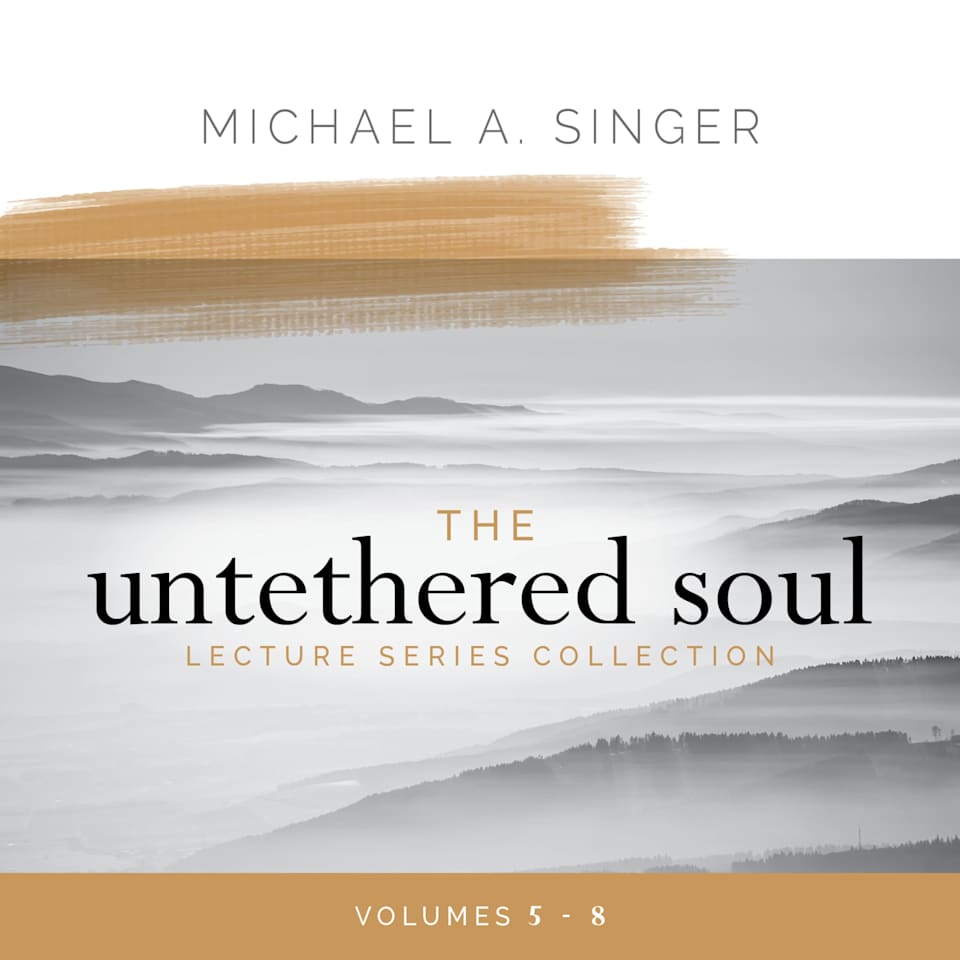 The Untethered Soul Lecture Series Collection: Volumes 5–8 by Michael A ...