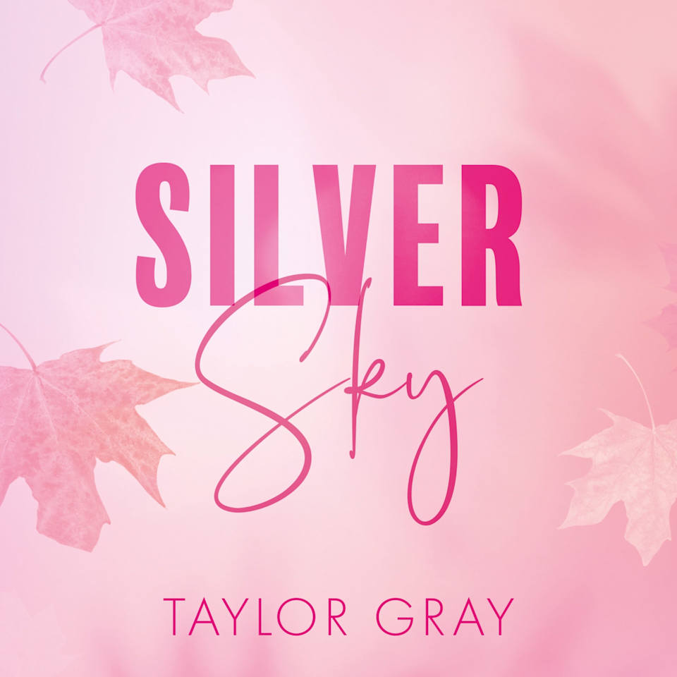 Silver Sky (The Carter Brothers, Book 2) by Taylor Gray - Audiobook