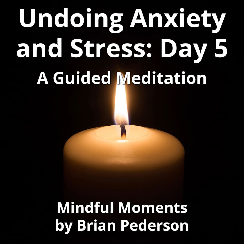 Undoing Anxiety and Stress: Day 5 by Brian Pederson - Audiobook