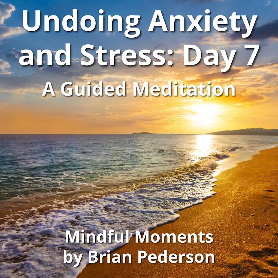 Undoing Anxiety and Stress: Day 7 by Brian Pederson - Audiobook