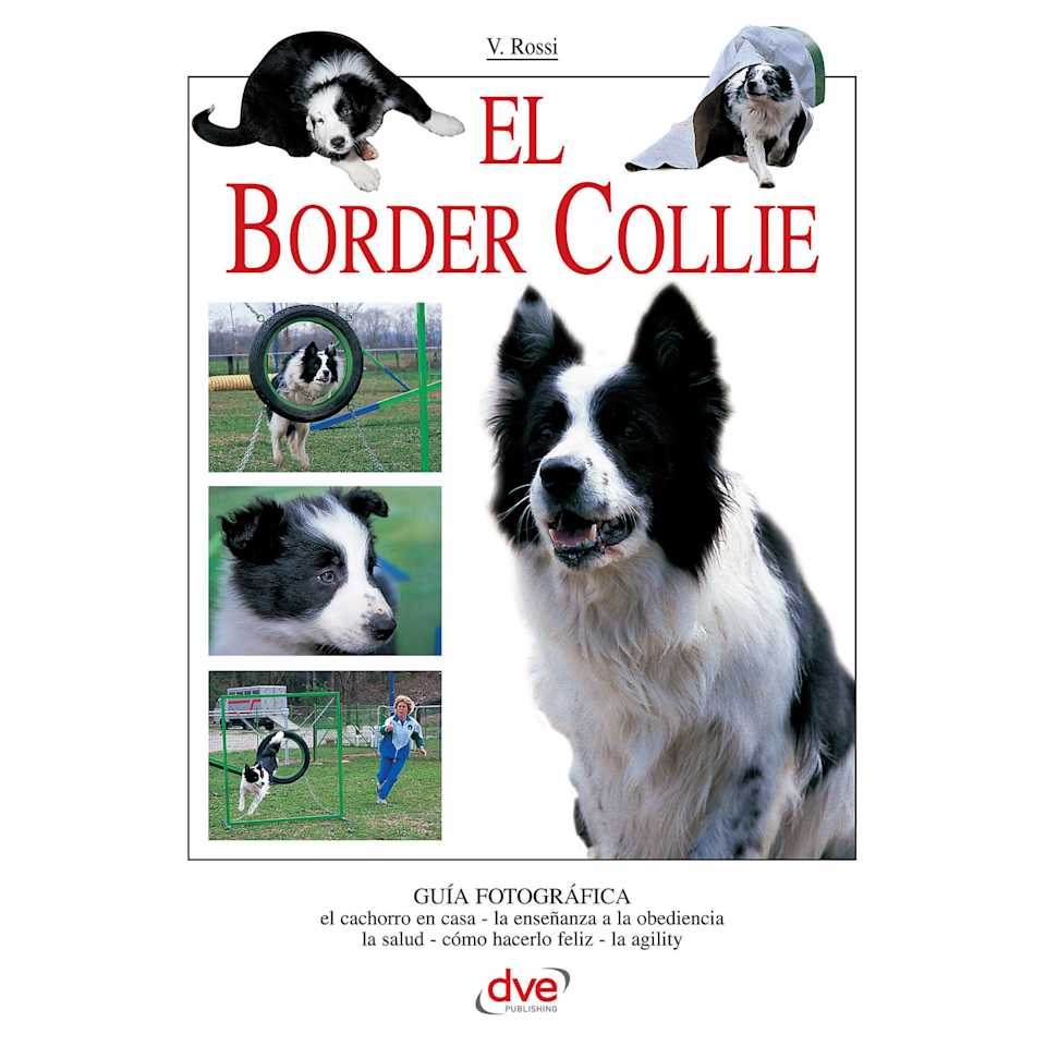 El border collie by Valeria Rossi - Audiobook