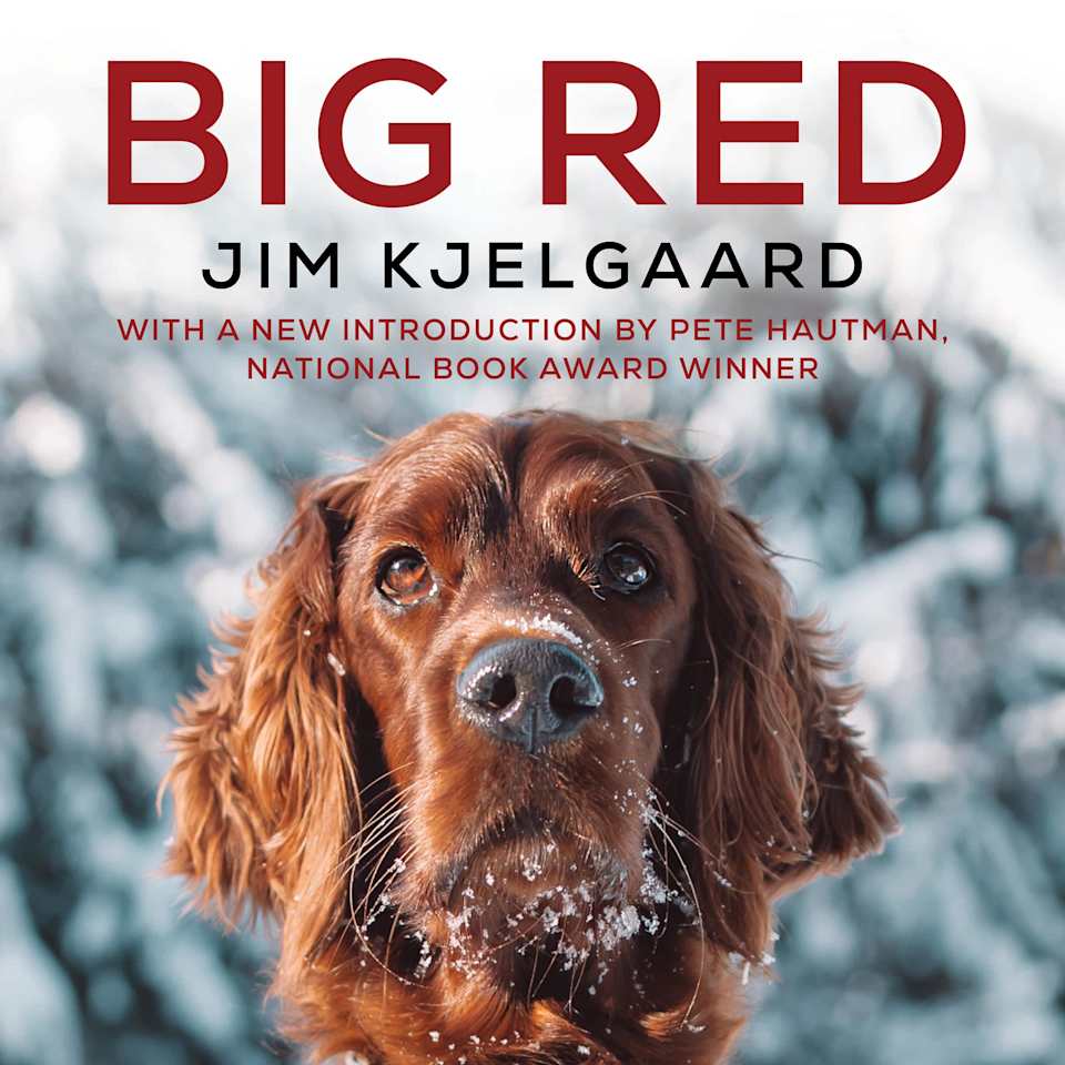 Big Red (75th Anniversary Edition) by Jim Kjelgaard - Audiobook