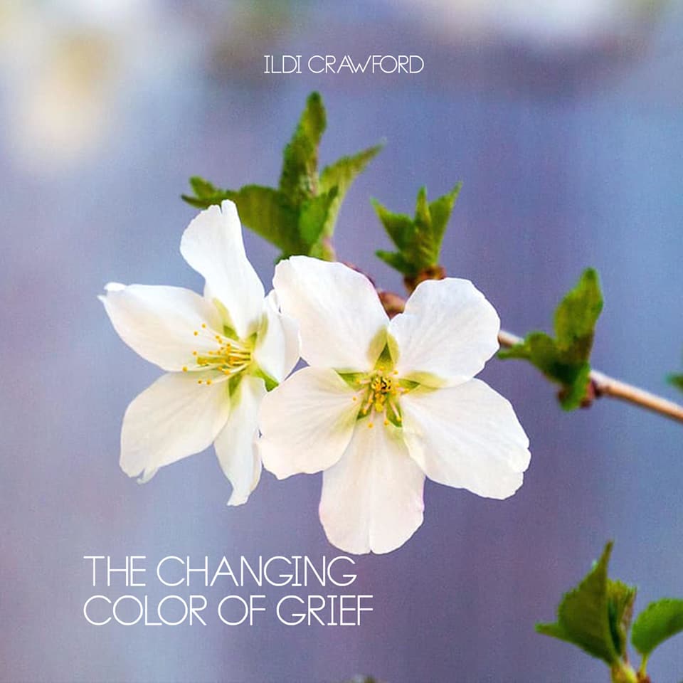 The Changing Color of Grief by Ildi Crawford - Audiobook