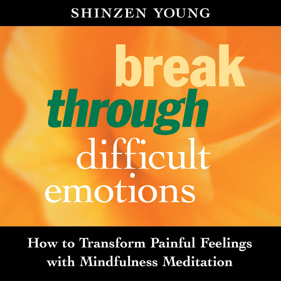 Break Through Difficult Emotions by Shinzen Young - Audiobook