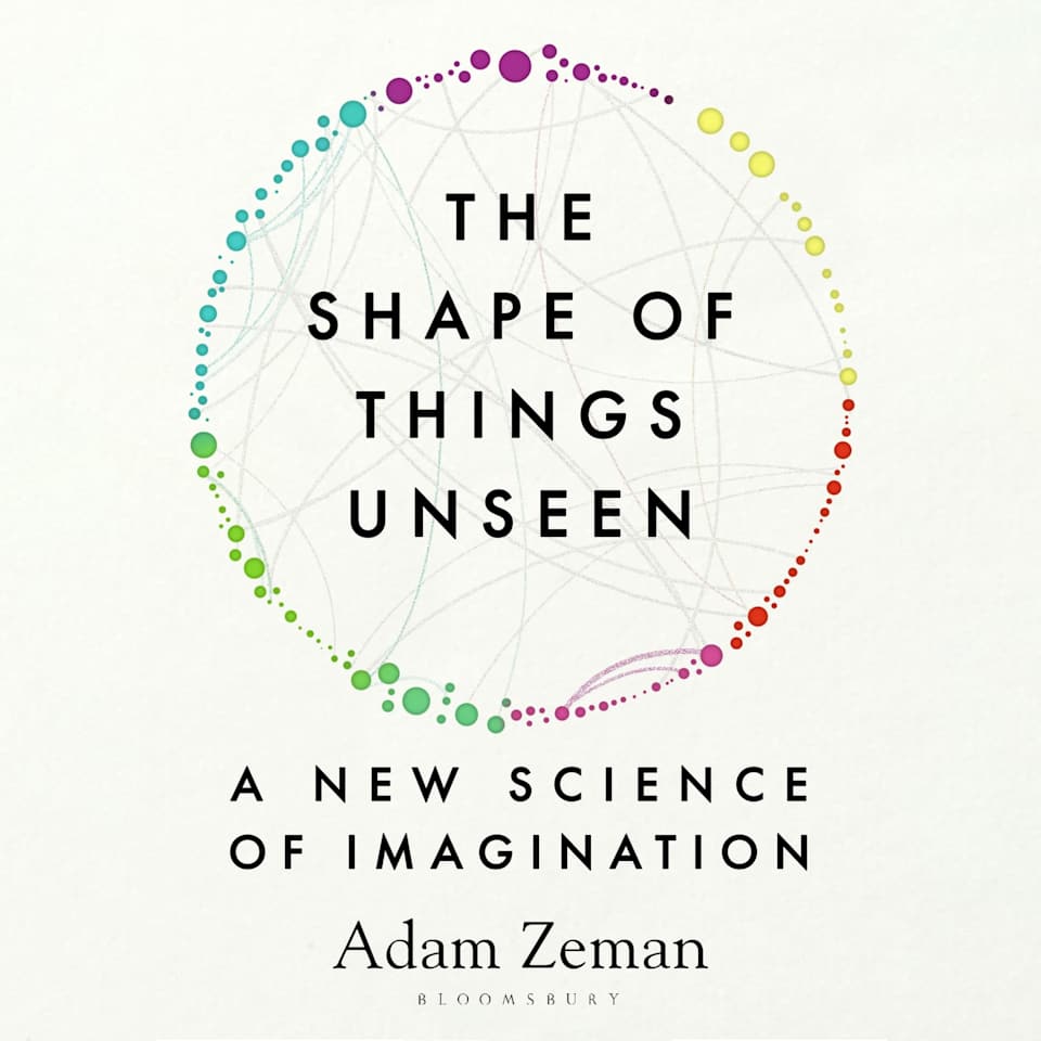 The Shape of Things Unseen by Adam Zeman - Audiobook